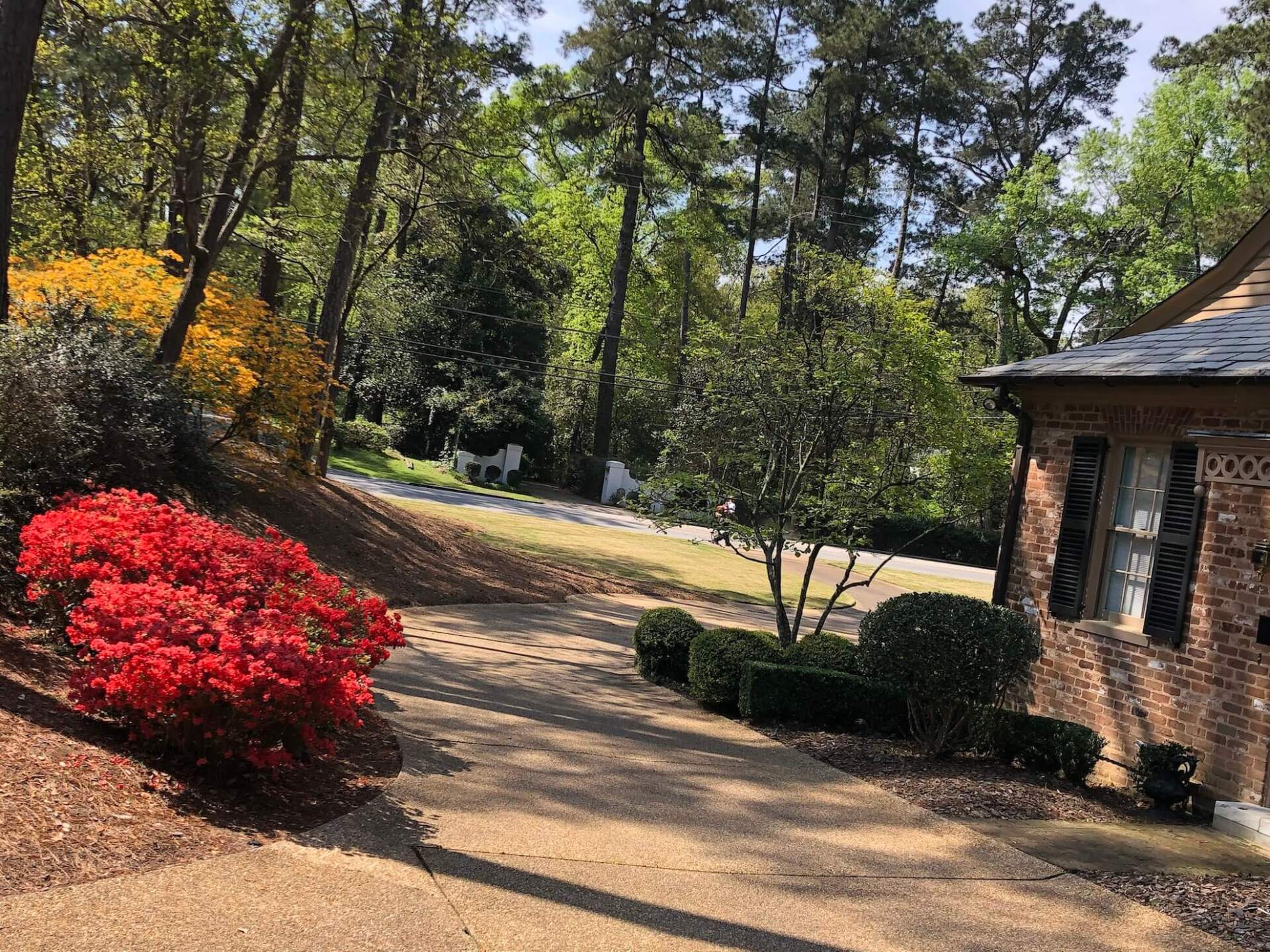 Augusta GA Lawn Care Gallery, Landscaping, Landscape Designs