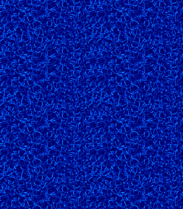 Pacific Liners | Fort Walton Beach FL | Johnson Pools, Inc.