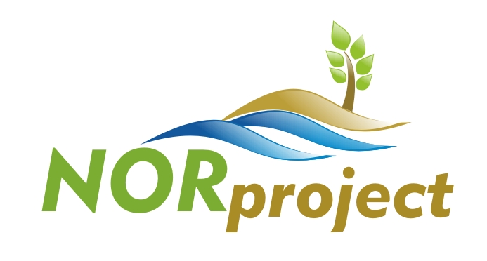 Inicio - NORPROJECT