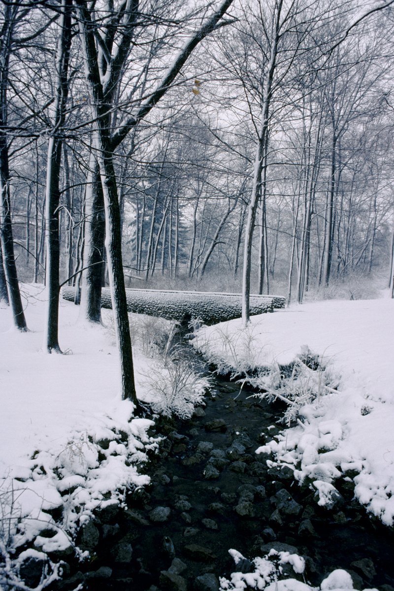 Miami University Ohio Photography by Tom Hogeback