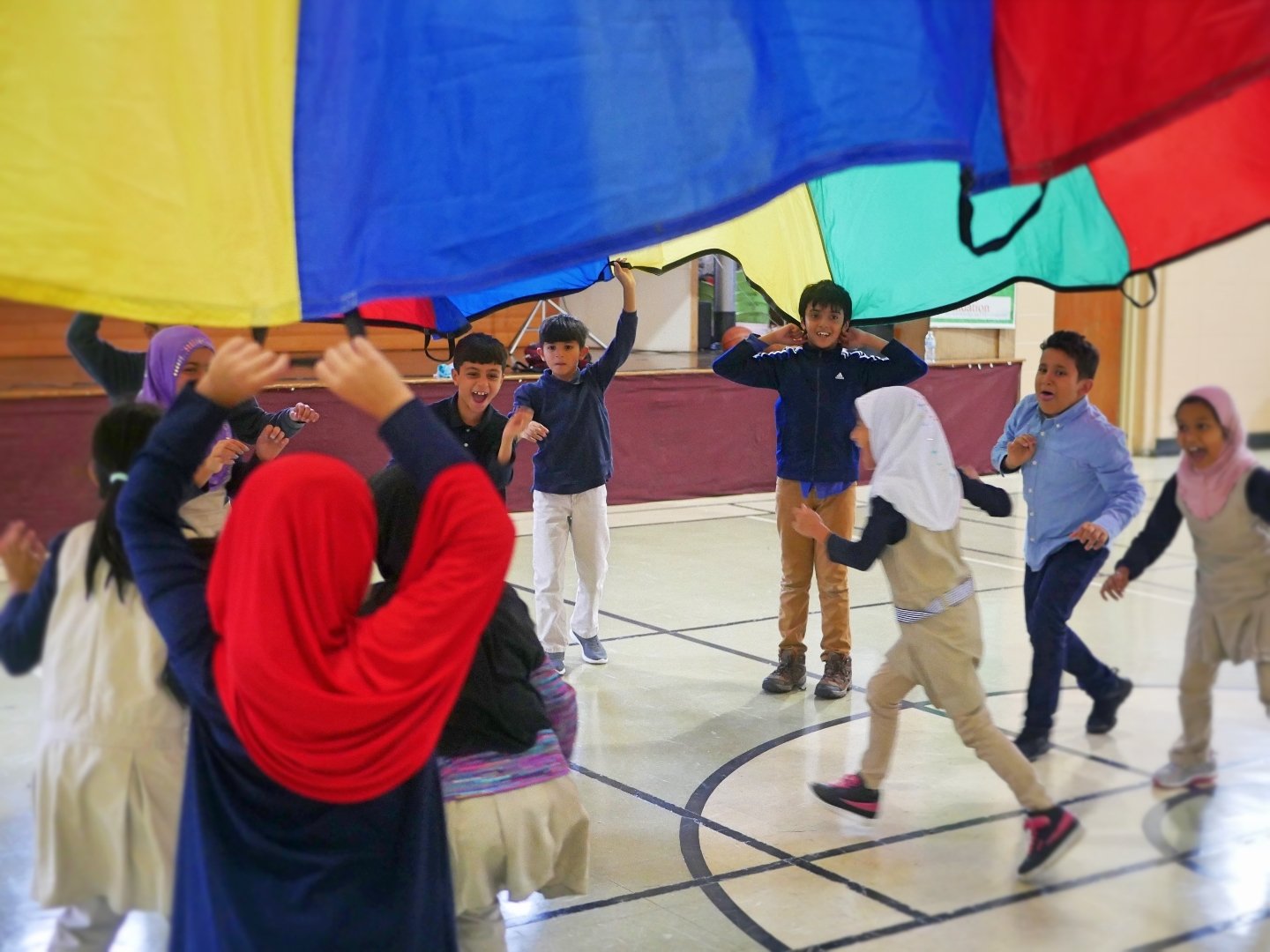 The Wellspring Schools