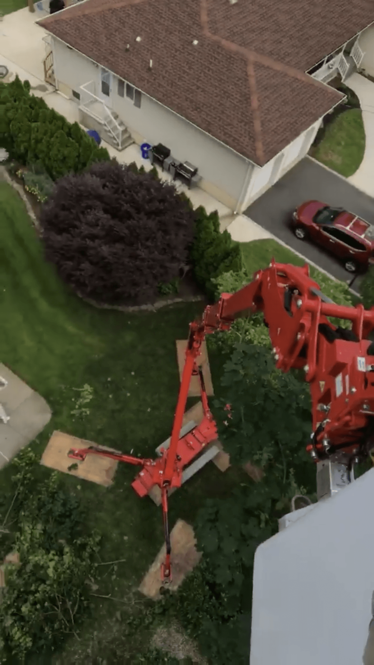 Tree Removal Service — Middlesex County, New Jersey — Mickiewicz Arbor ...