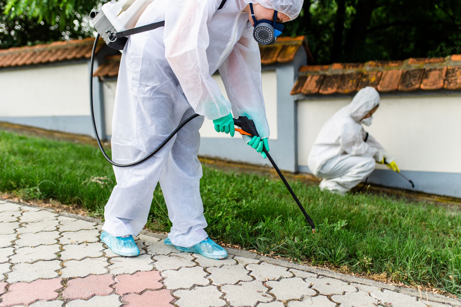 Pest extermination San Marcos, TX - Sample Pest Control