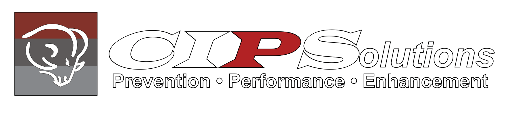 Comprehensive Injury Prevention Solutions - Improving Performance of ...