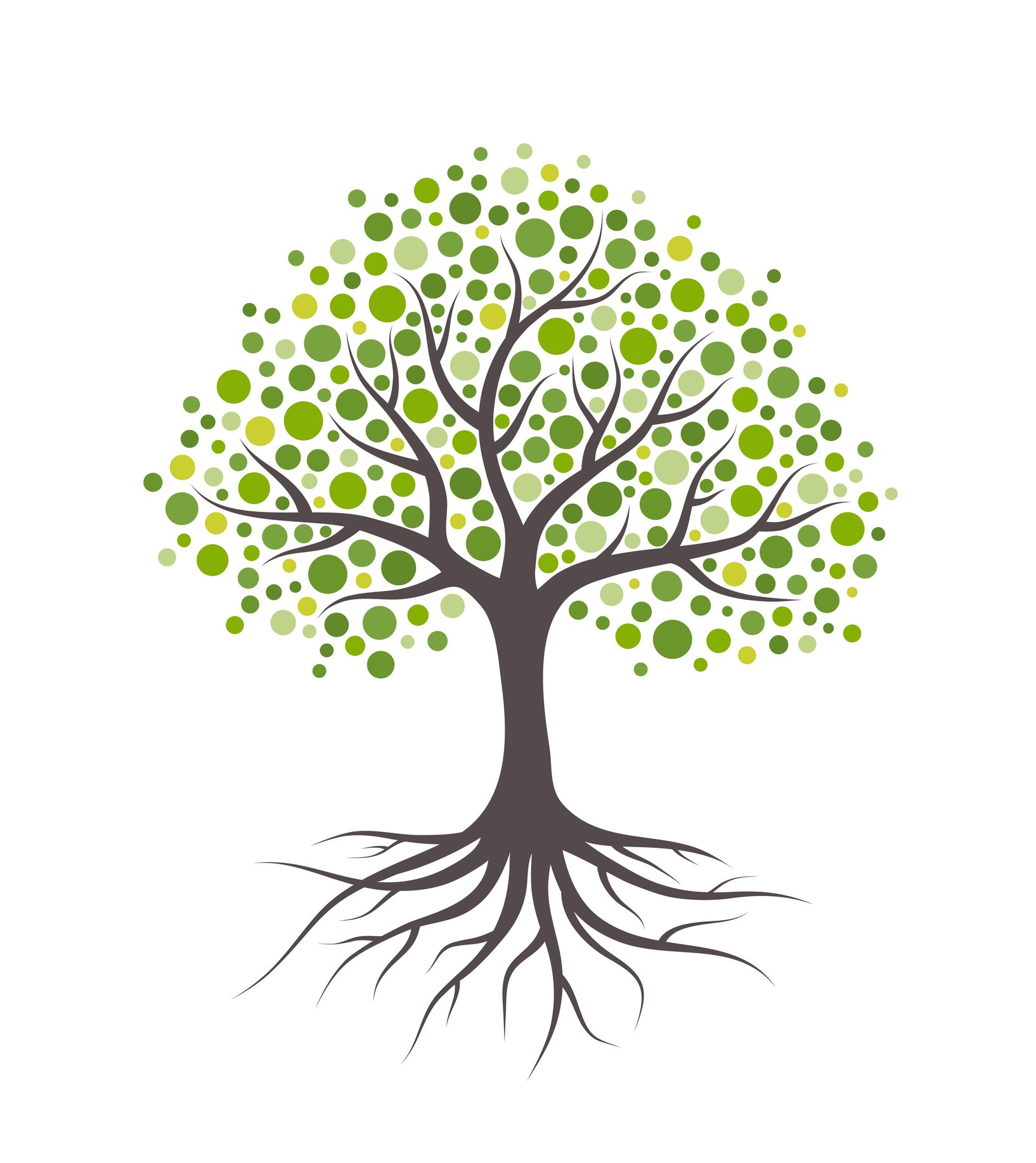 Tree Services | Cuyahoga Falls, Ohio | Pro Tree & Landscape