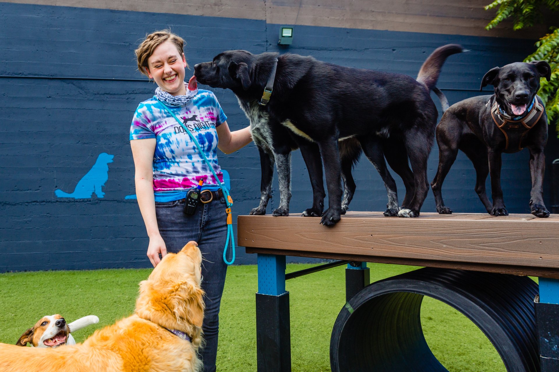 Portland Web Design Agency | Salt Creative