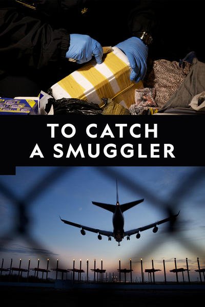 ICE HSI - Homeland Security Investigations