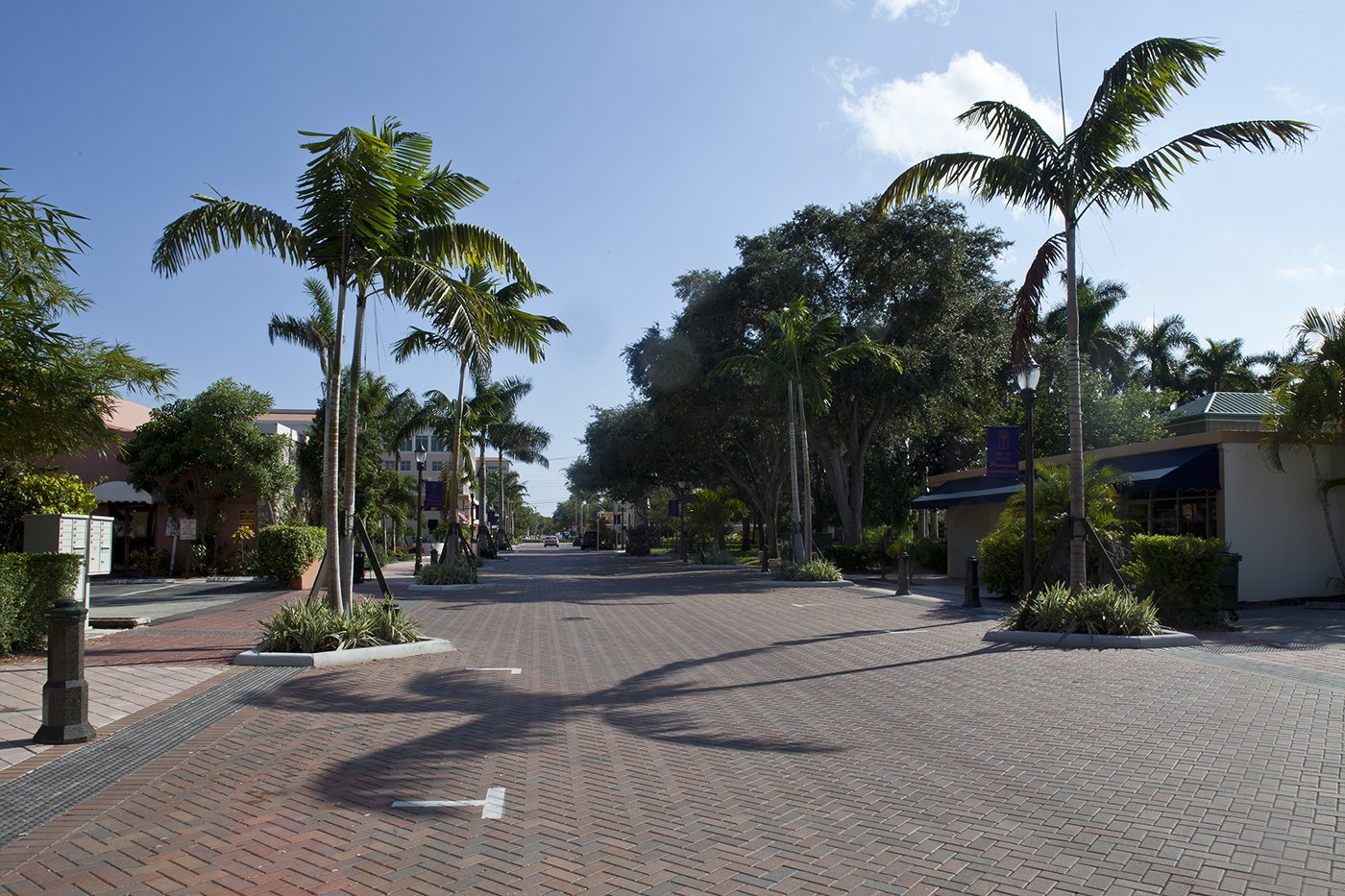 Downtown Pedestrian Promenade | Burkhardt Construction Inc.