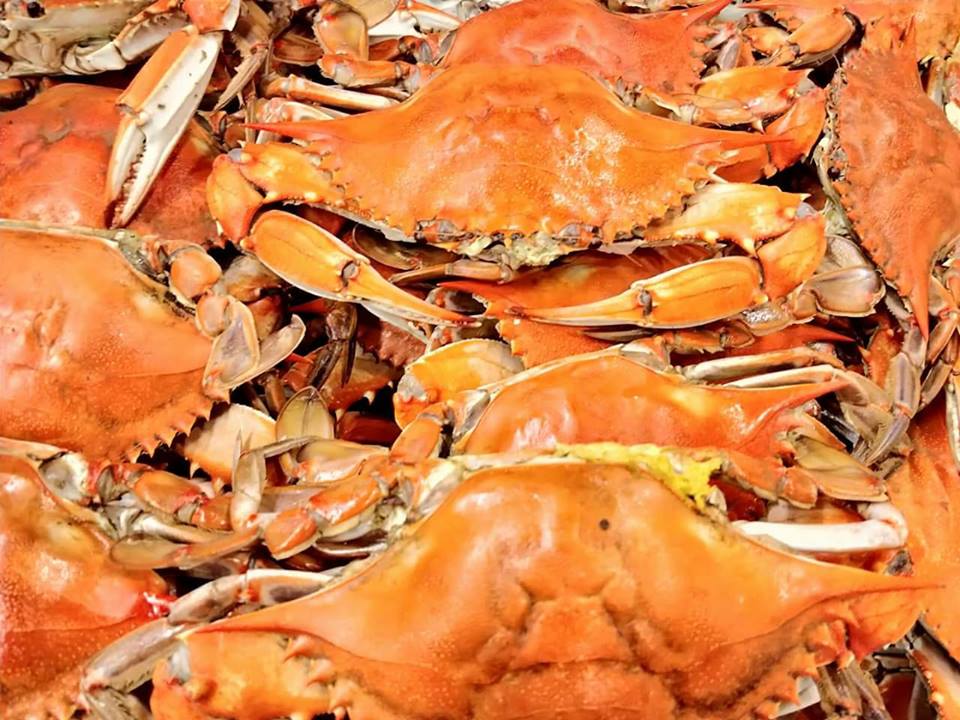 Gallery | Cary Crab House | Cary, NC