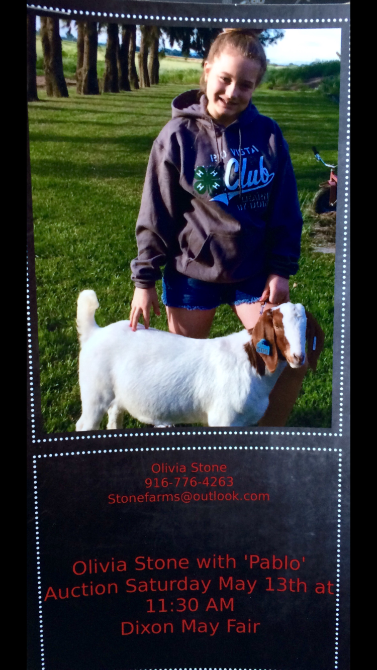 2017 Show Wethers
