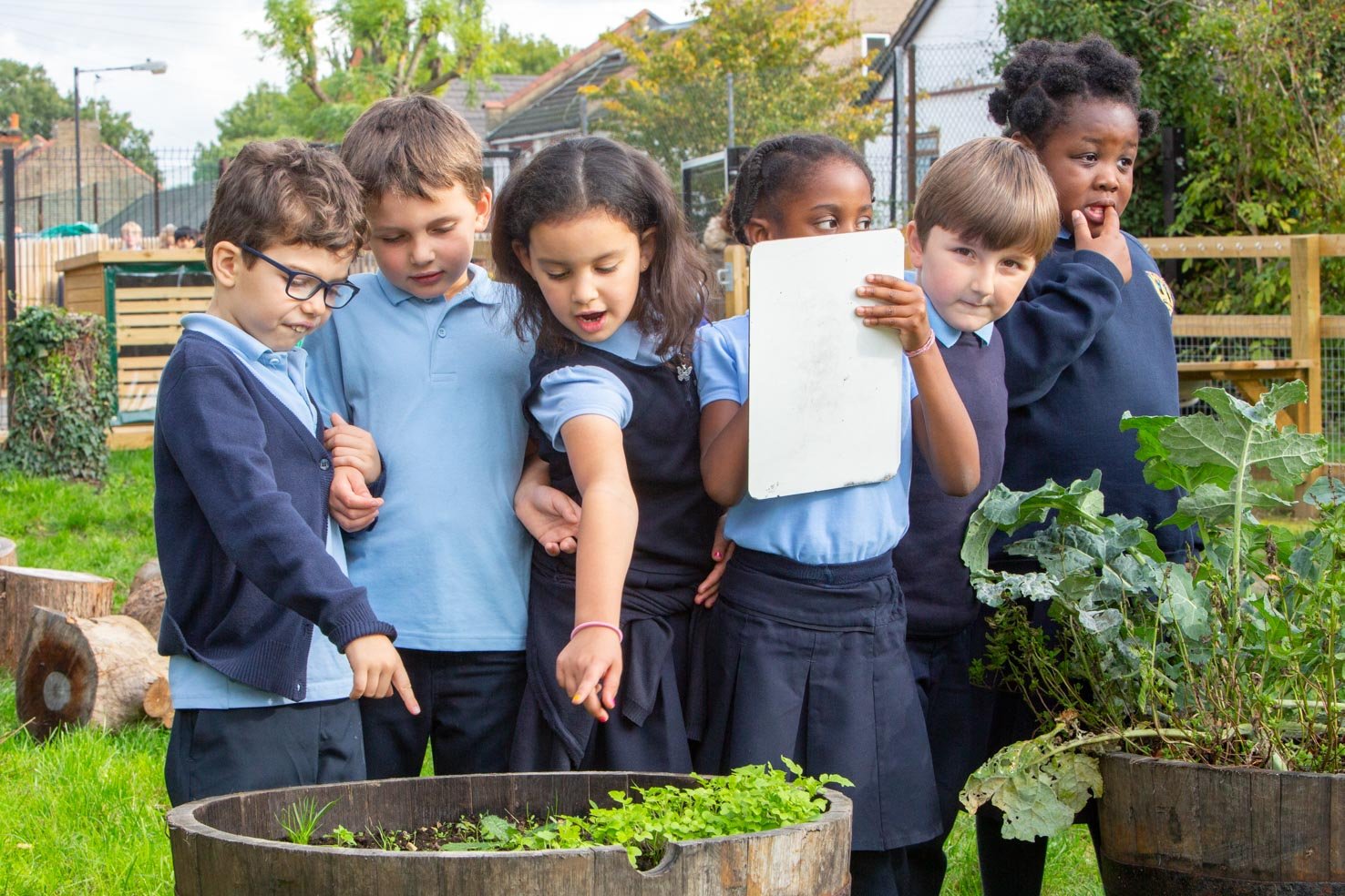 Selwyn Primary School