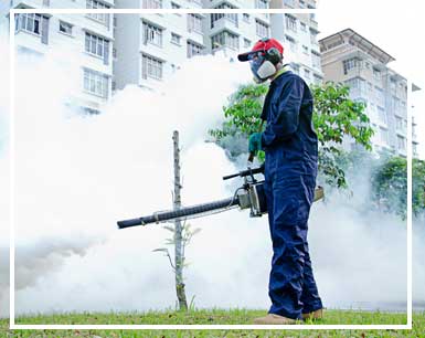 Quiénes somos - FUMIZENTER LTDA