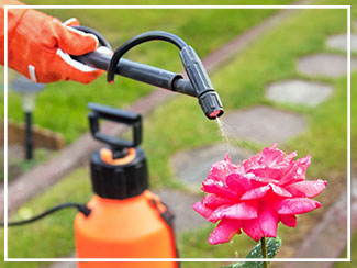 Quiénes somos - FUMIZENTER LTDA