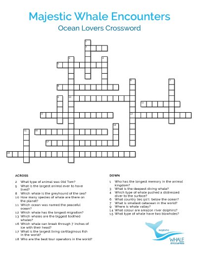 Activities | Ocean Tales Children's Books