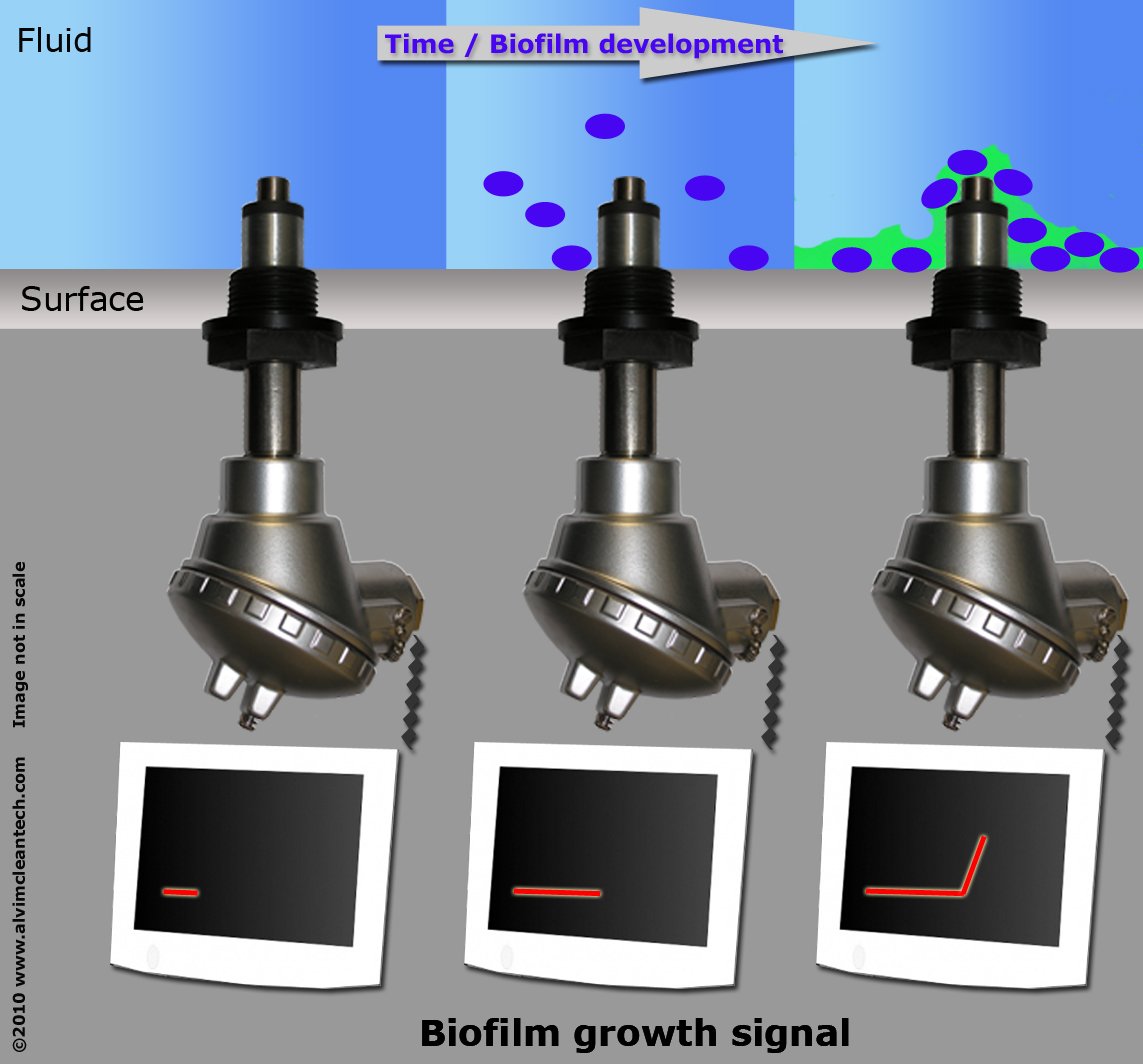 Biofilm Monitoring System in brewery industries