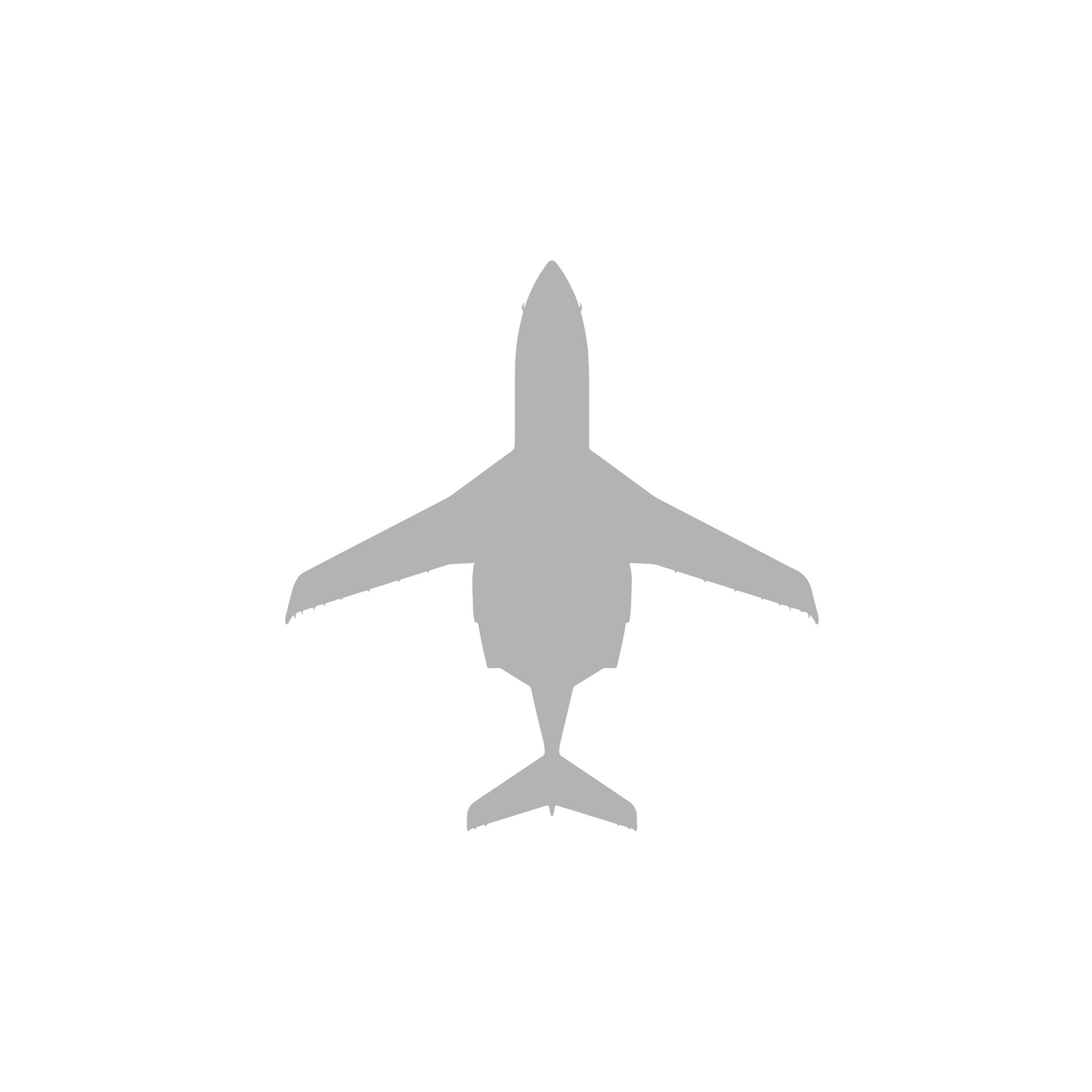 Composite Aircraft Flooring Systems