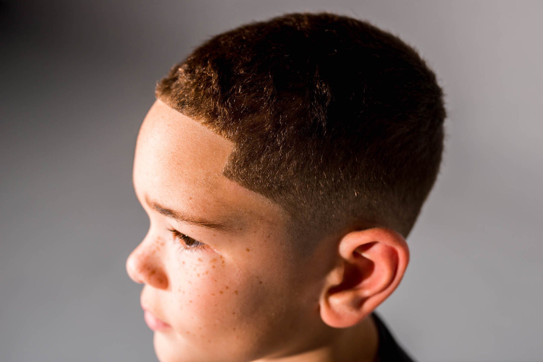 Haircut Photos | Arlington, TX | CBJ Hairgrooming