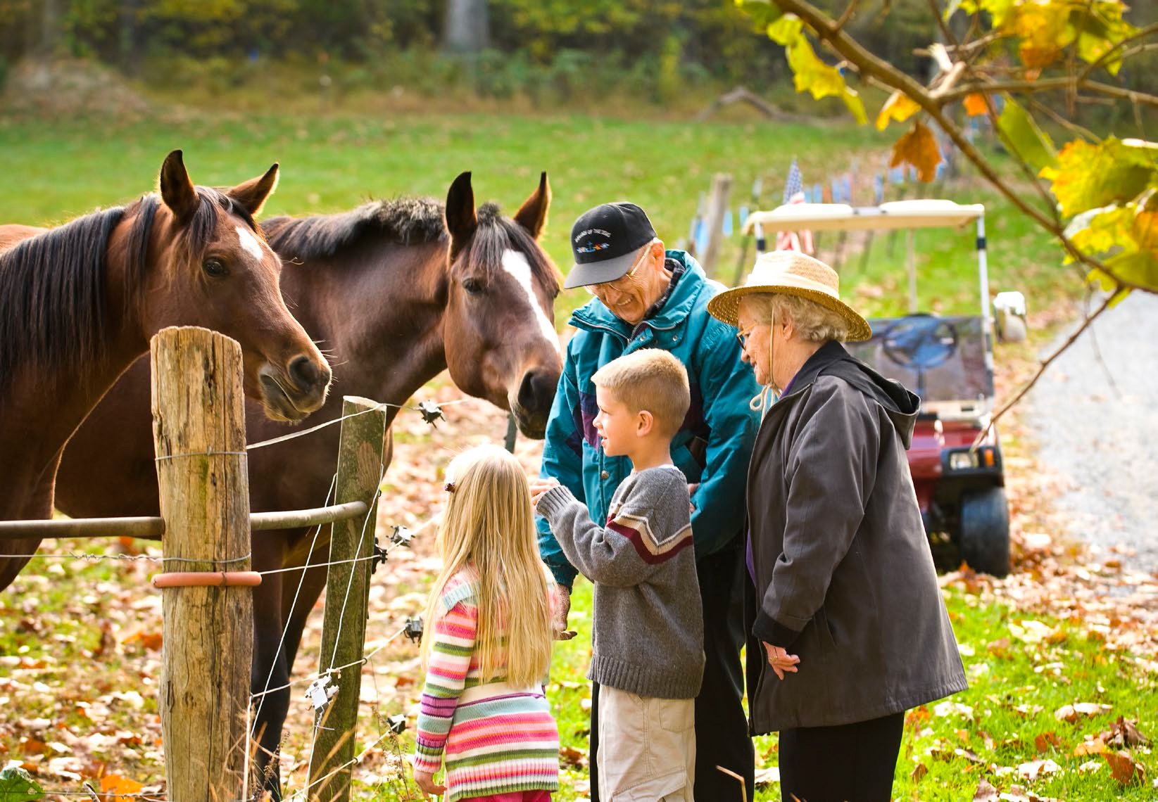 Assisted Living | Brooke Grove Retirement Village