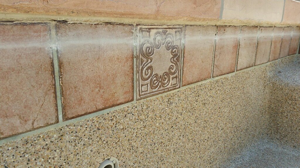 LayorCare Heavy Calcium Releaser | Swimming Pool Calcium Remover