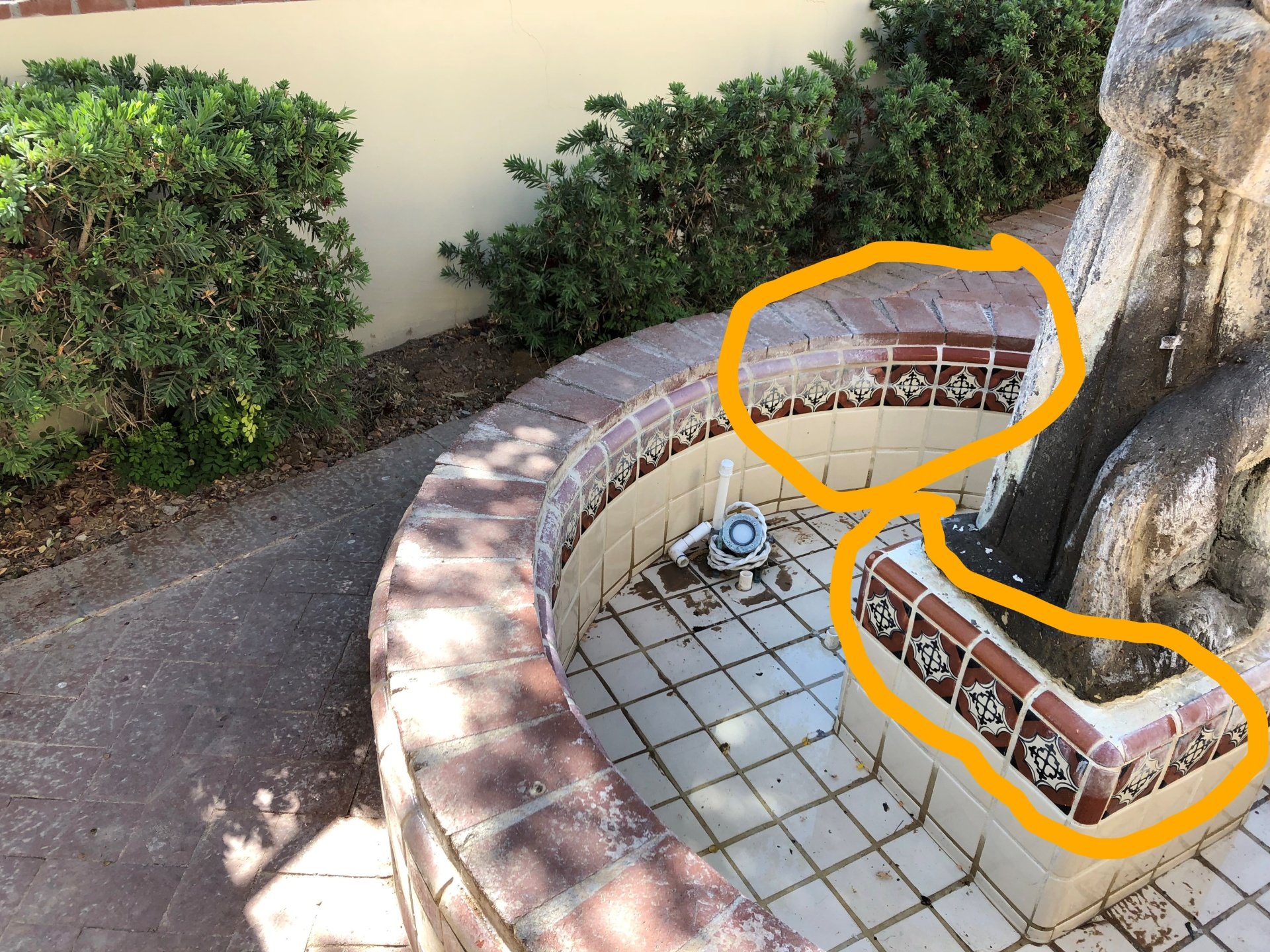 LayorCare Heavy Calcium Releaser | Swimming Pool Calcium Remover