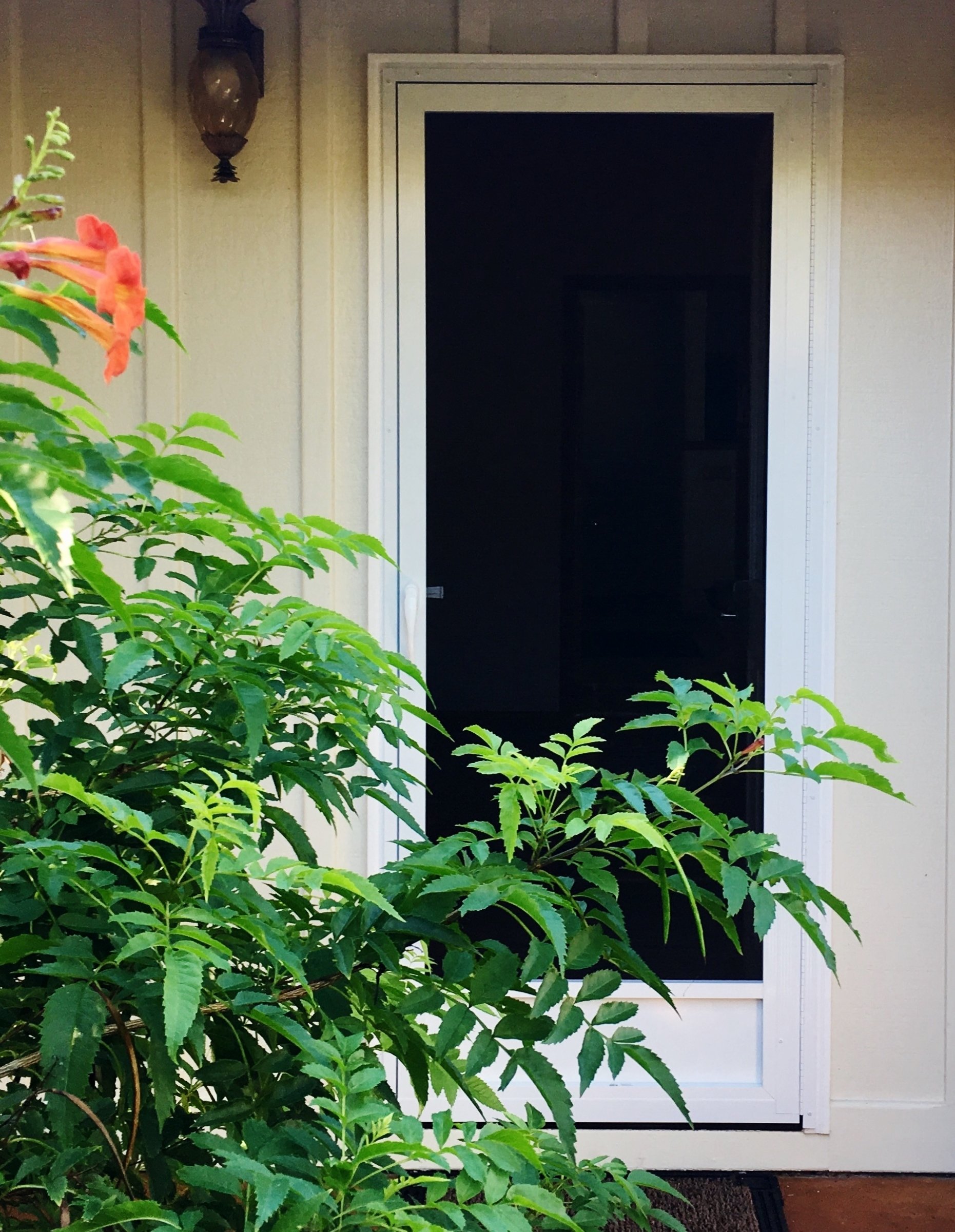Standard Screen Doors | Wailuku, HI | Aloha Screen Doors
