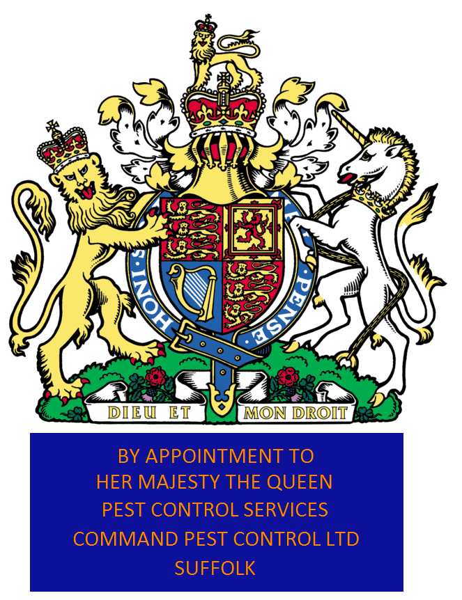 Command Pest Control | Norwich, Norfolk | Ipswich & Sudbury, Suffolk | Essex