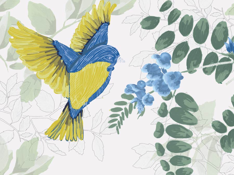 Scriba - Compatible Software