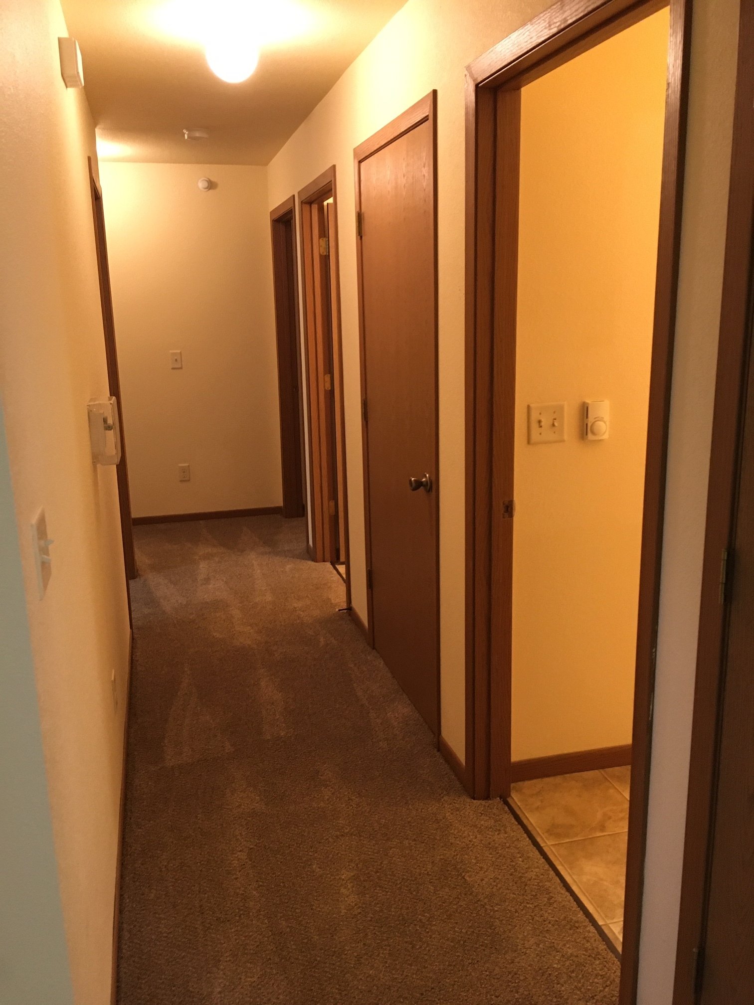 SINGLE ROOM RENTALS FOR INDIVIDUALS | Campusview Real Estate