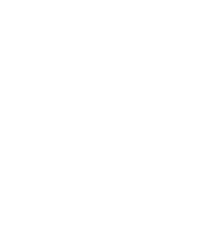 Northern Protective Services | Home