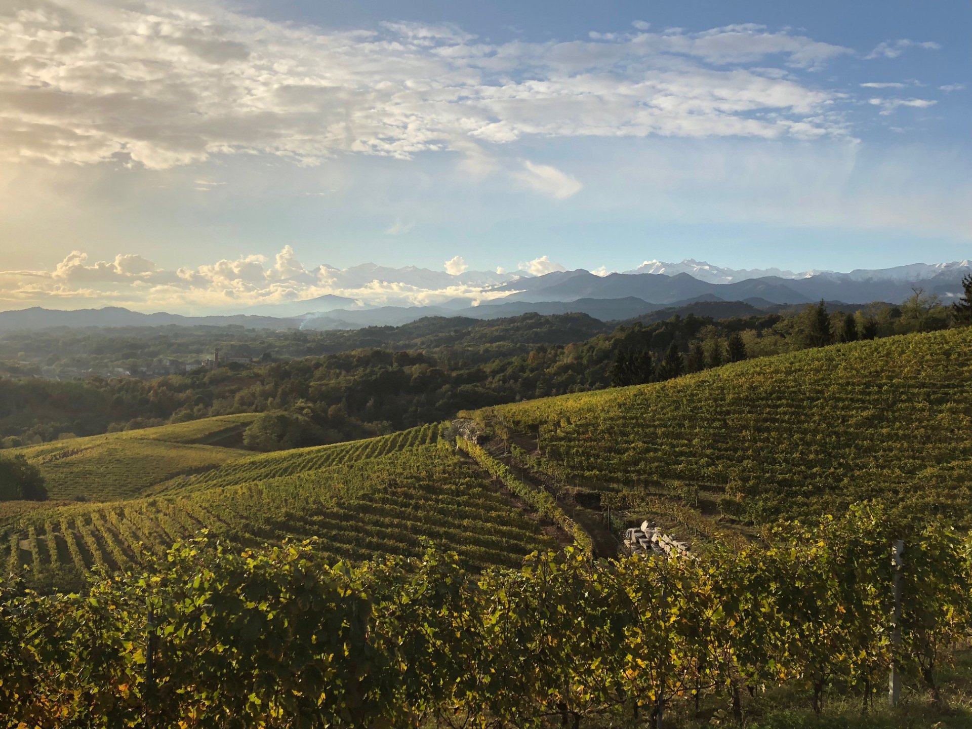 Piedmont wines | Gattinara | Travaglini Giancarlo Gattinara