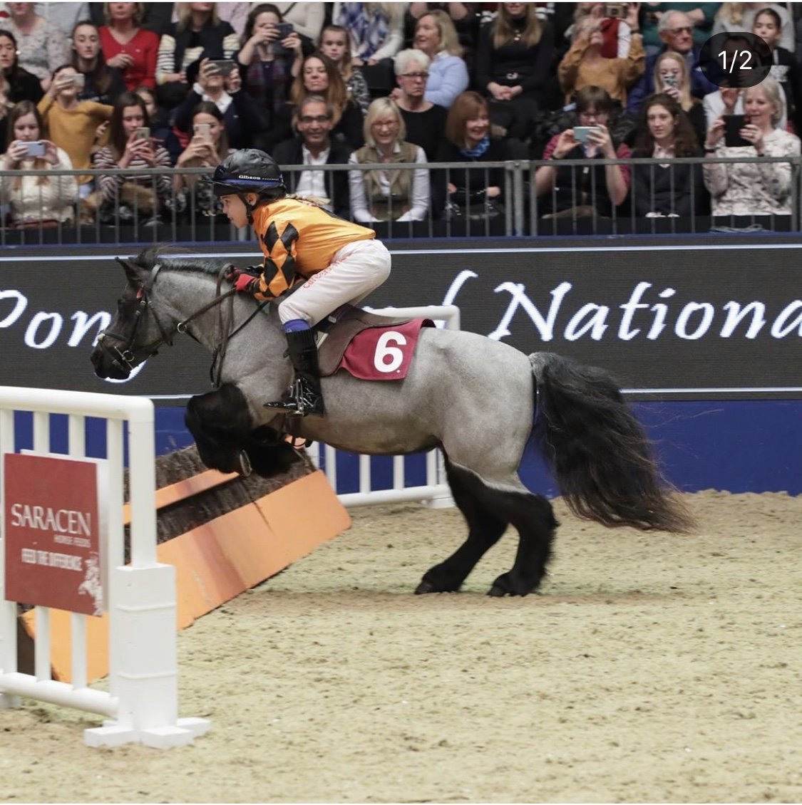 Little Equestrian Children's riding clothes and equipment