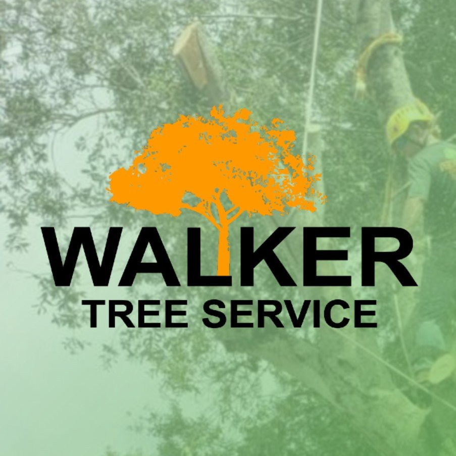 About Walker Tree Service | Palm Harbor, FL Tree Removal and Services