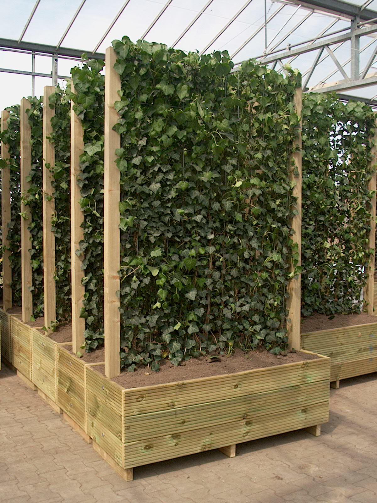 Products | Green Screens | Living Walls | Moss Walls | Green Roofs