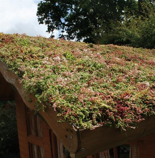 Green Infrastructure Supply & Install | Soft Landscaping | Irrigation