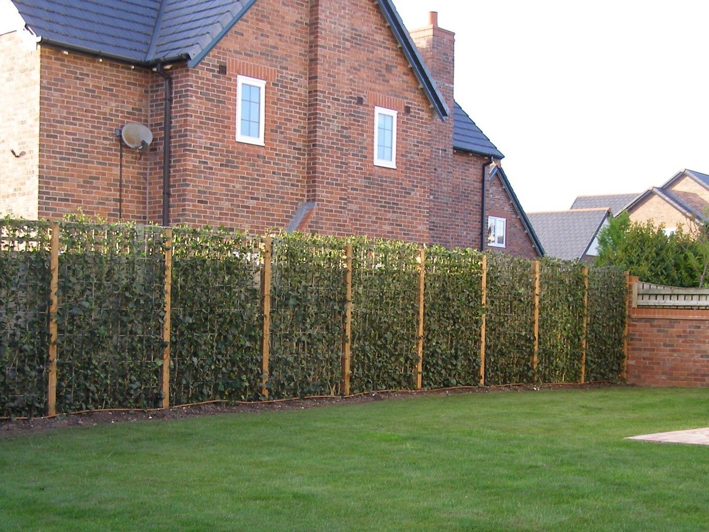 Ivy Green Screen Living Wall and Green Roof Supply & Install | UK