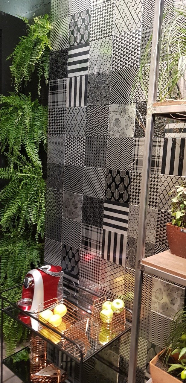 Inox Color - História