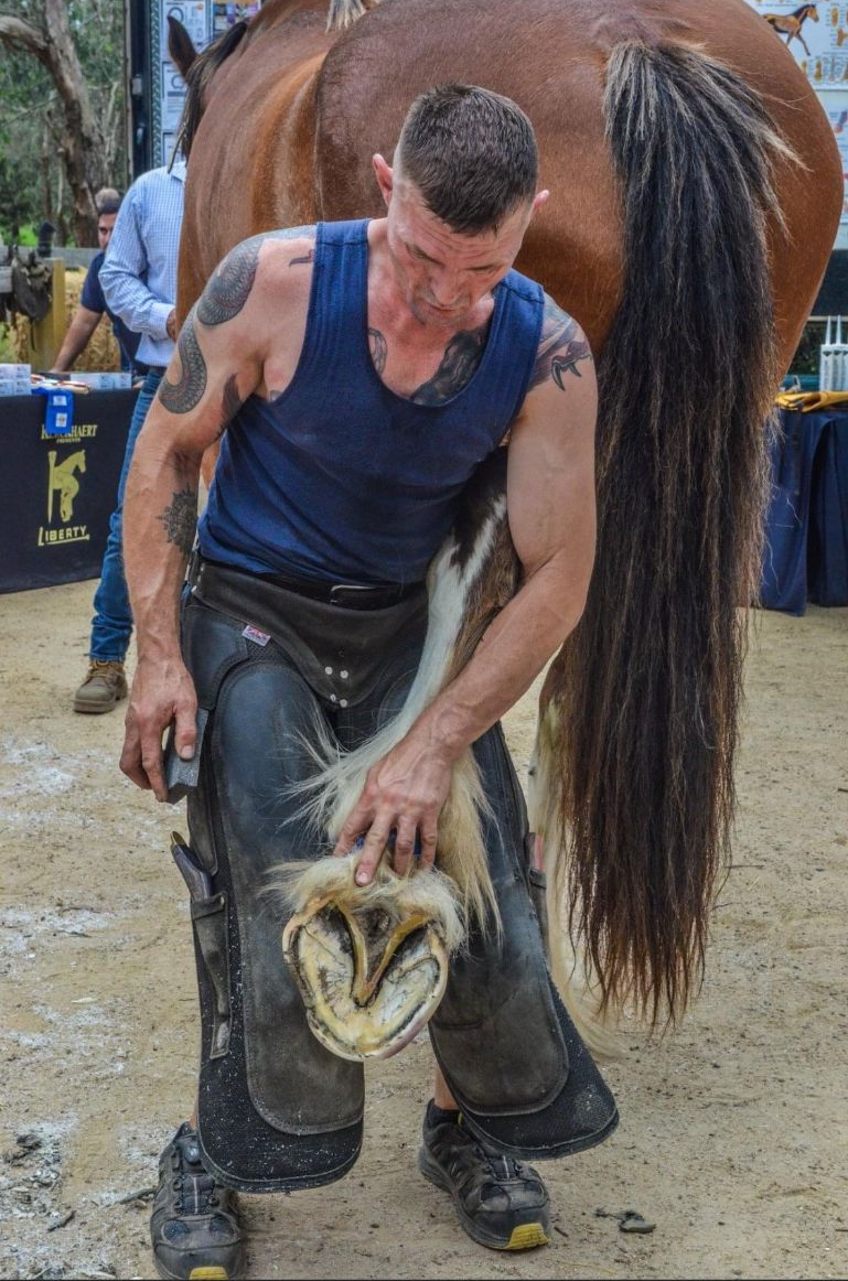 Sunshine Coast Farrier Services | Farriers & Blacksmiths