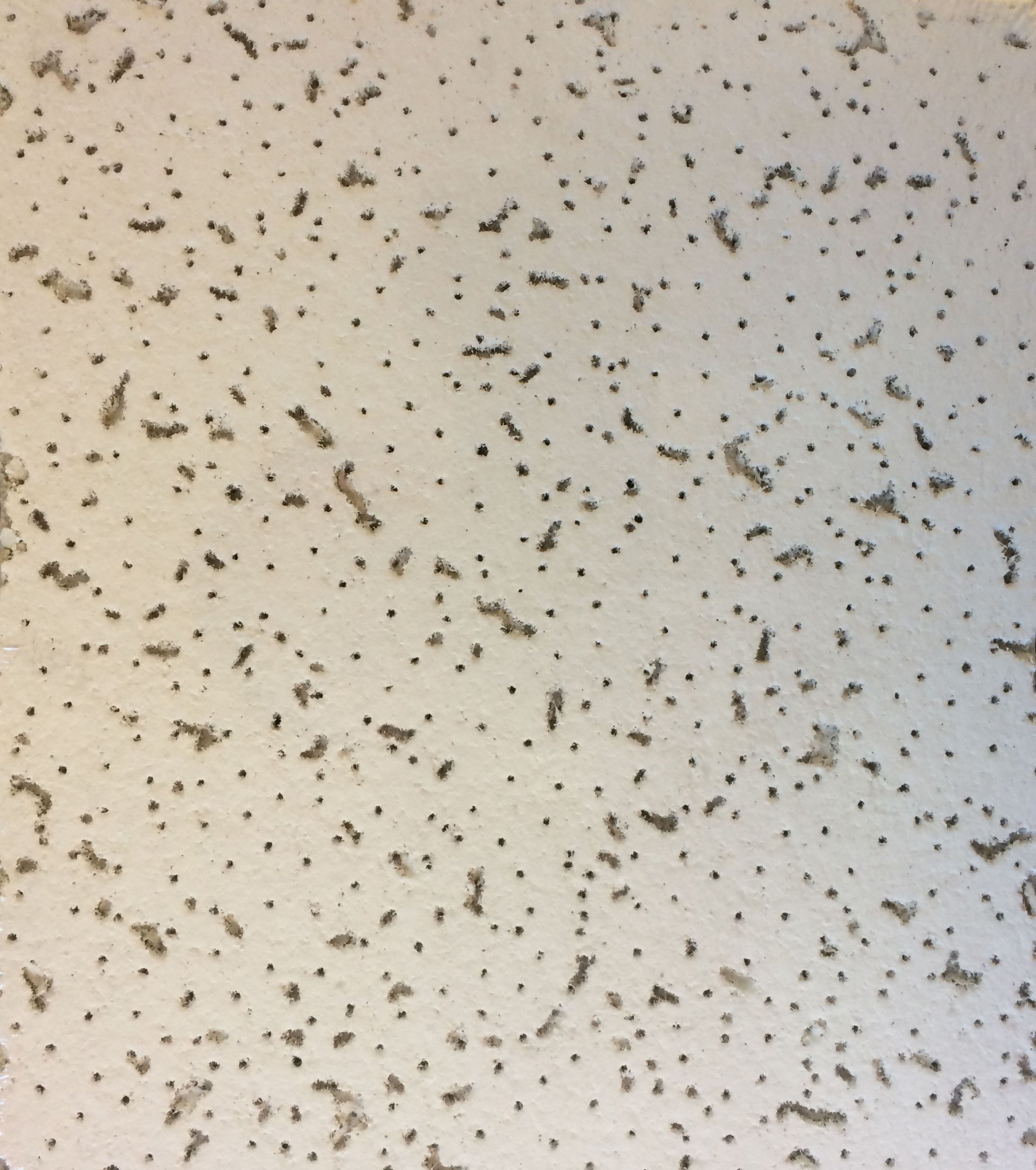 Cortega Second Look 2767 Armstrong Ceiling Solutions