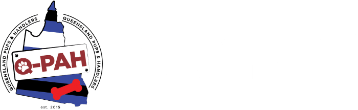 Five Minutes With... Skout