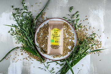 Auzu produkti | Z/S Kaņepītes