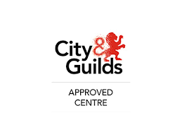 BSMSA Medical Administration and Practice Management Courses