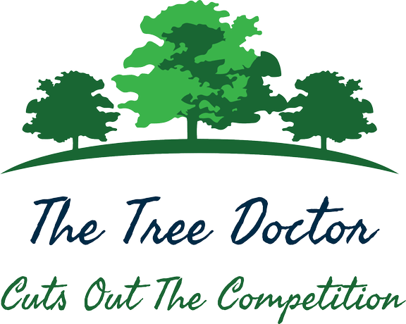 Tree Company – Jonesborough, TN - The Tree Doctor