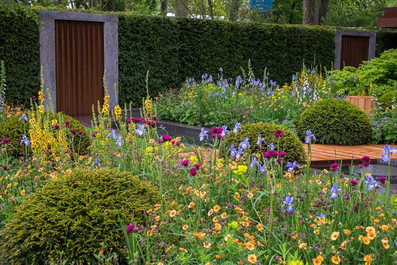Garden Design & Construction By Precision Landscapes