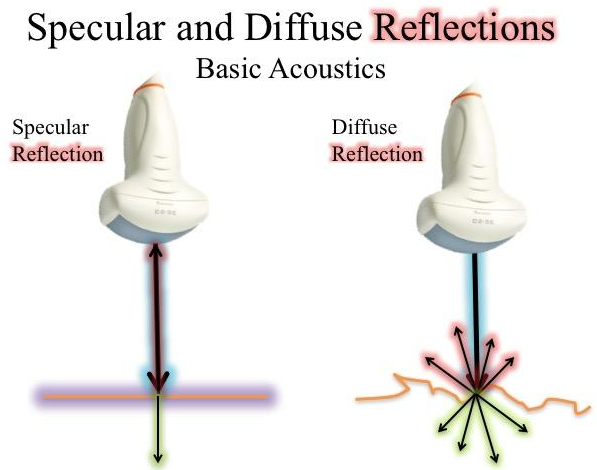 Internal Medicine Point of Care Ultrasound - IMPoCUS