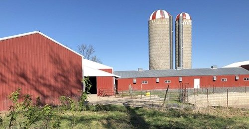 Heart of MN Animal Shelter