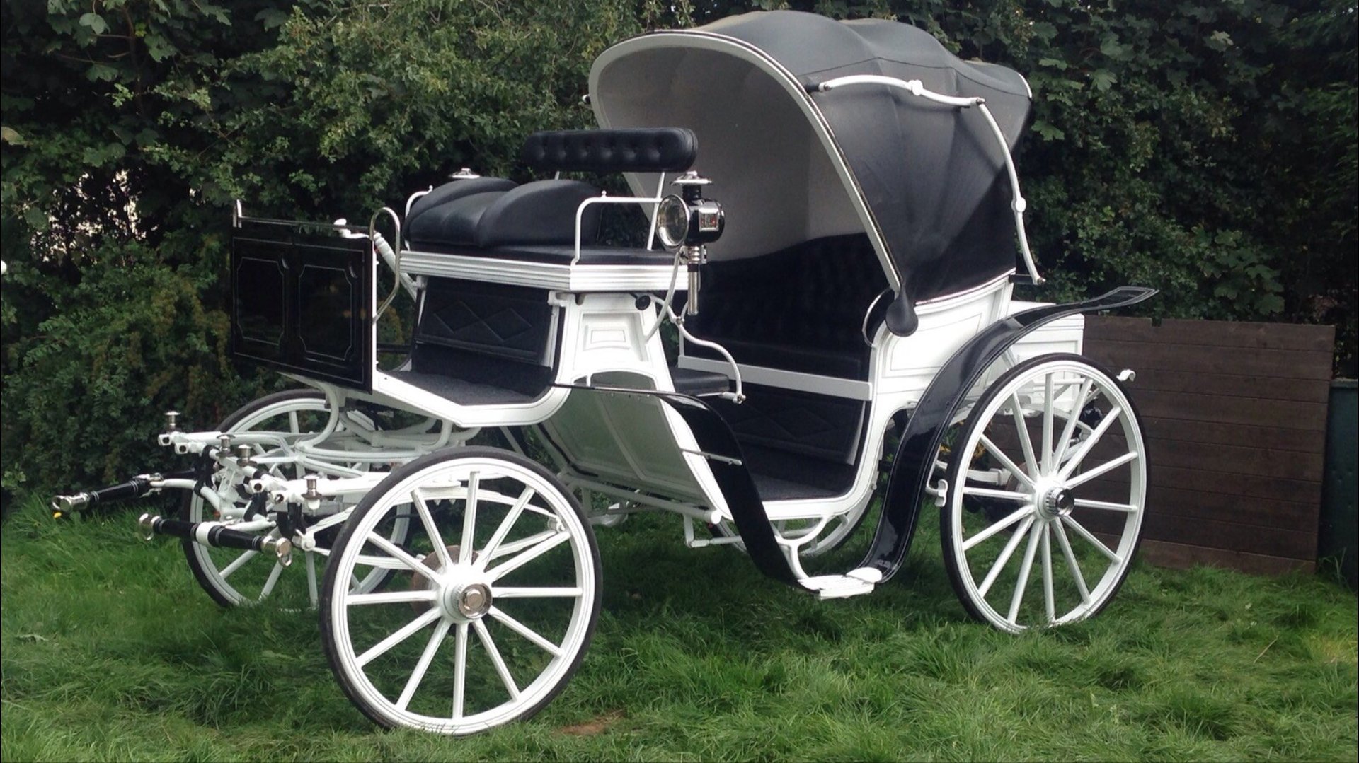 Cinderella carriage - Staffordshire Carriages