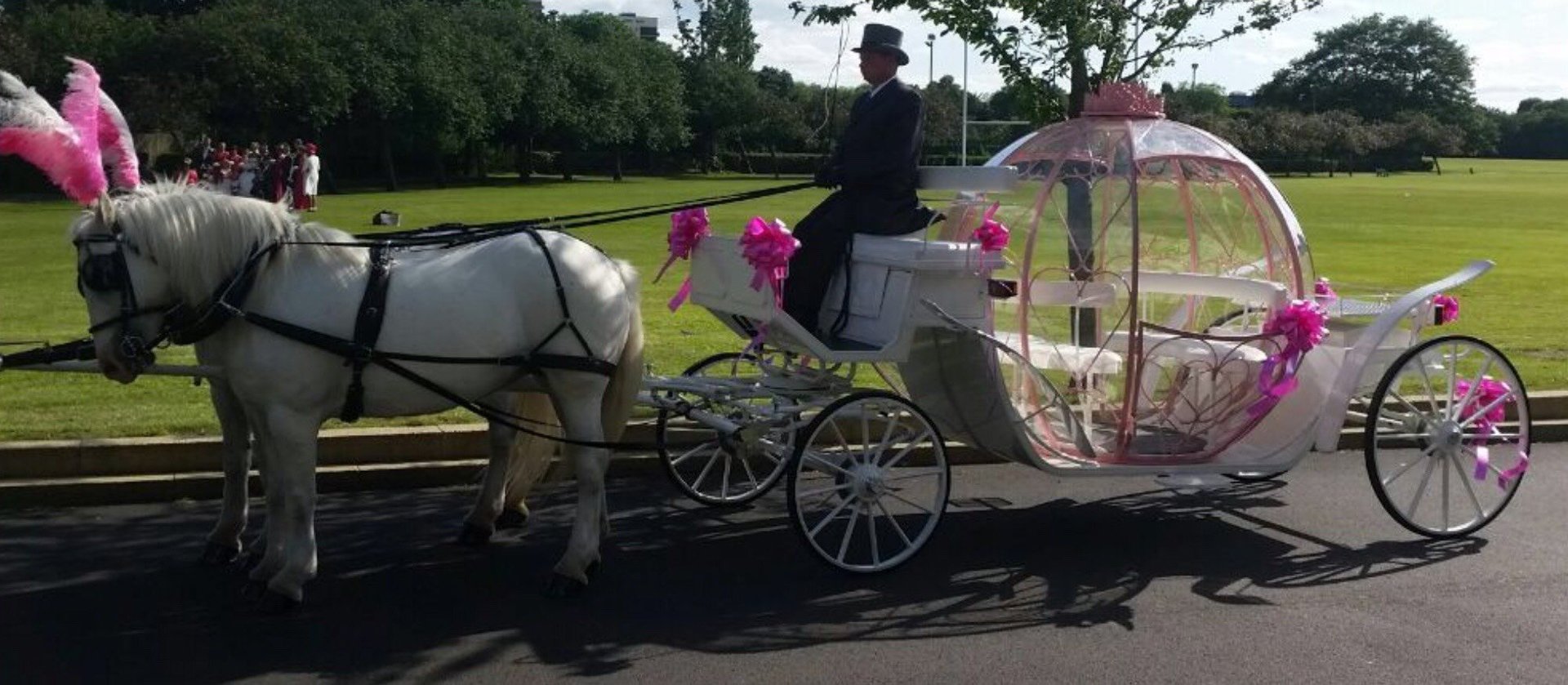 Cinderella carriage - Staffordshire Carriages
