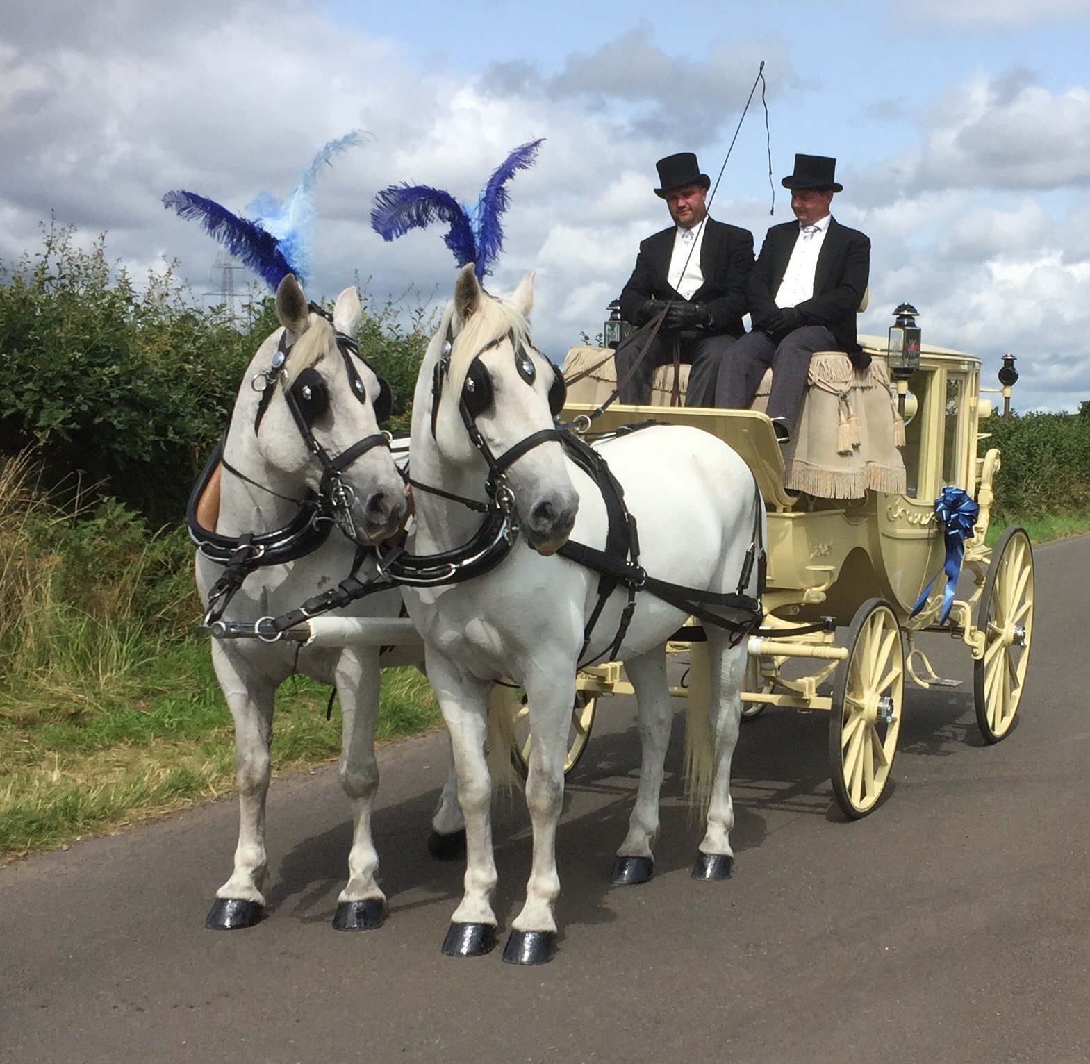 Cinderella carriage - Staffordshire Carriages