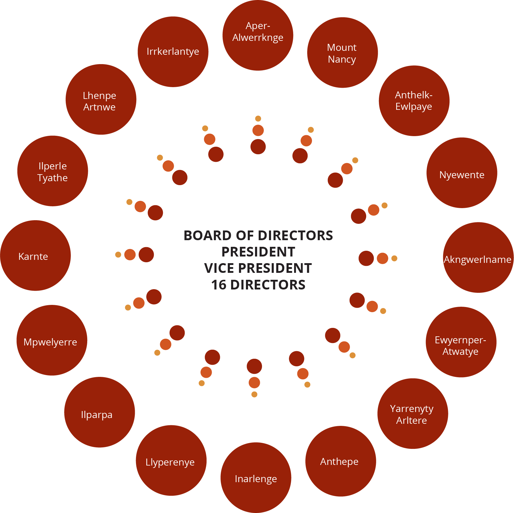 Community Control and Strong Governance | Tangentyere Council