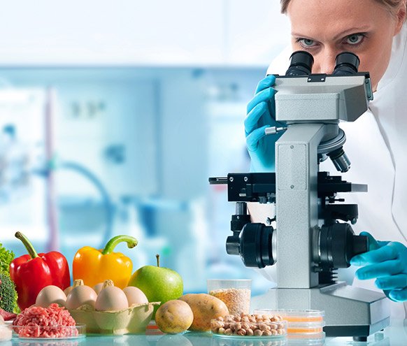 Food Inspections | Warsaw, MO